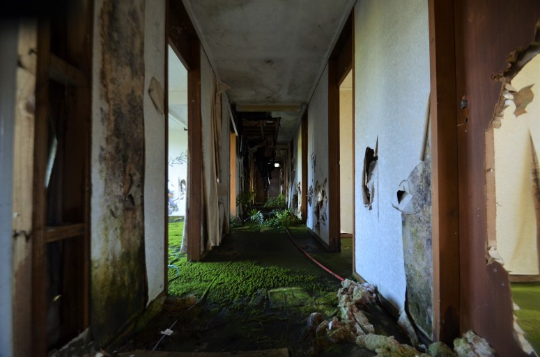 Abandoned Forensic Lab, Lunatic Asylum, North Island, New Zealand – U R ...